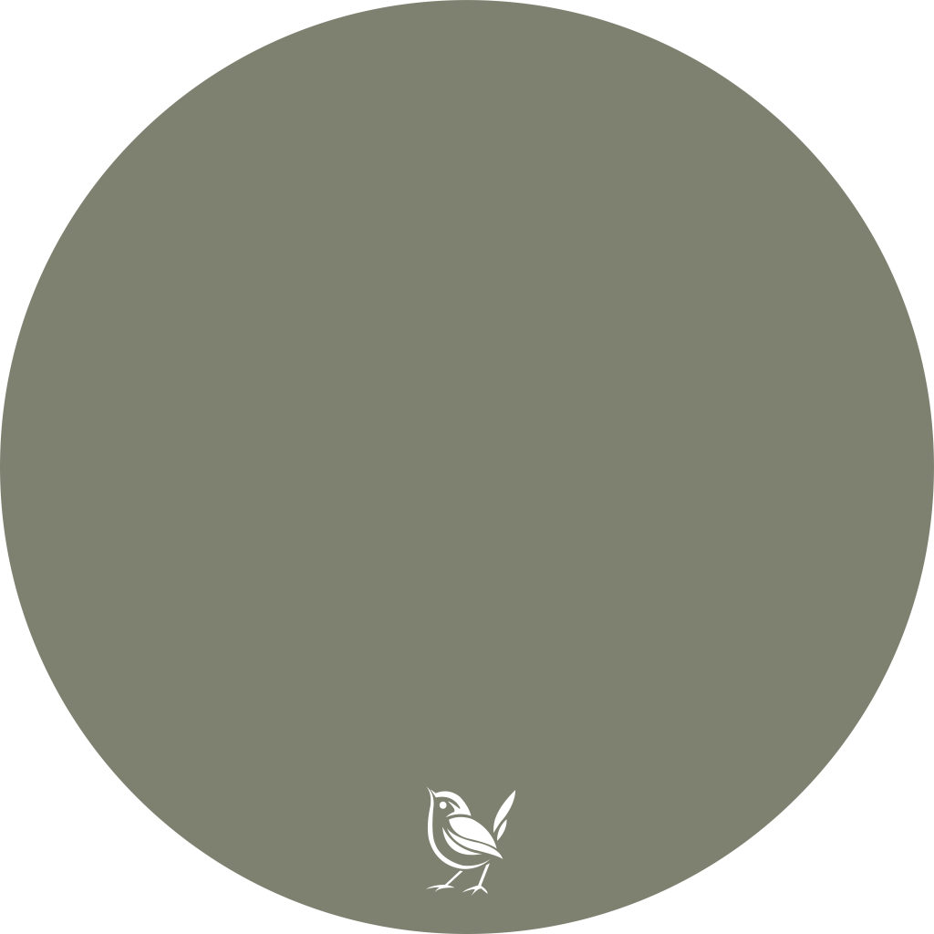 Wren Calacatta Marble - Wren Group
